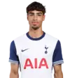 Transfers – Spurs Signings & Departures